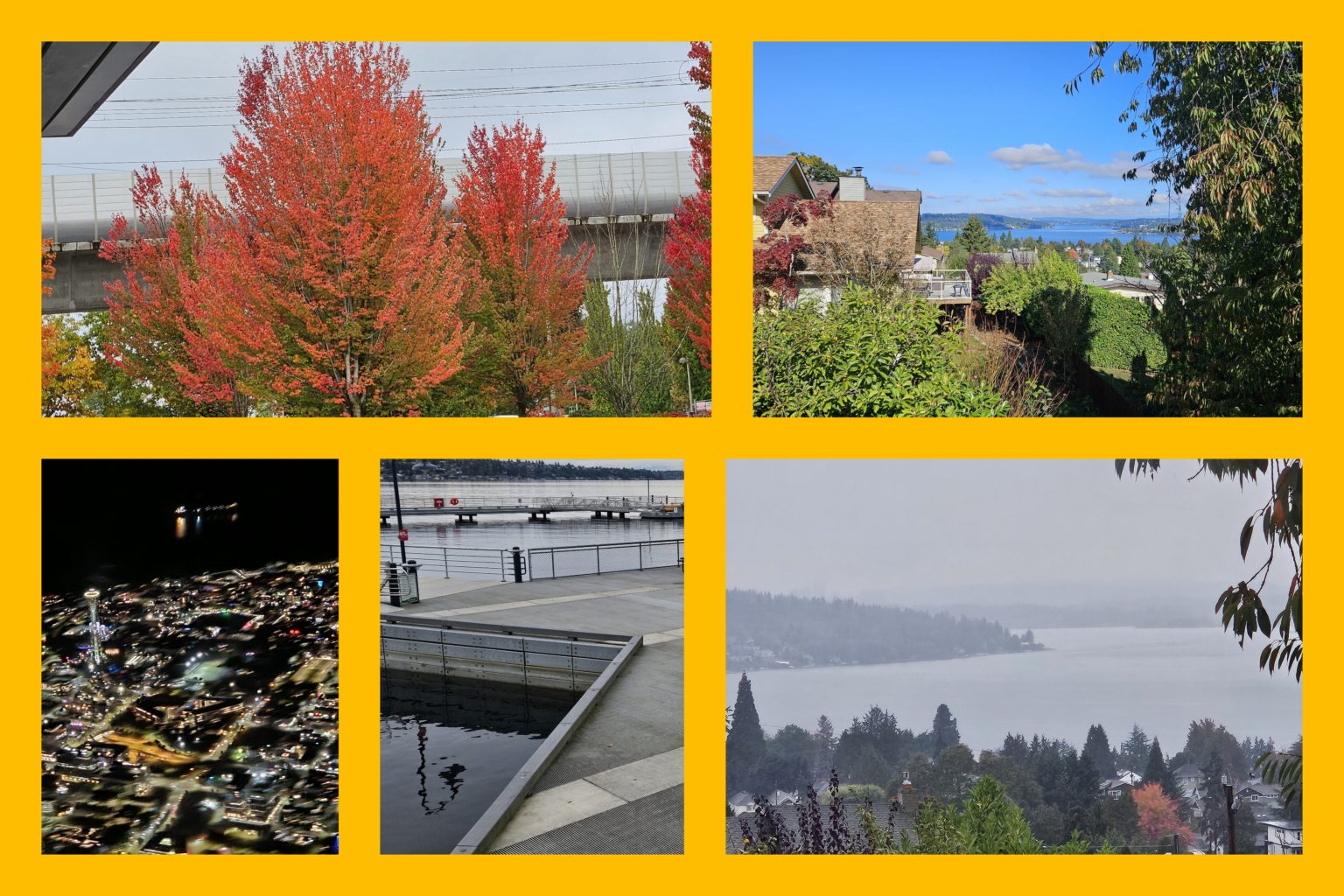 Seattle - Steeled Snake